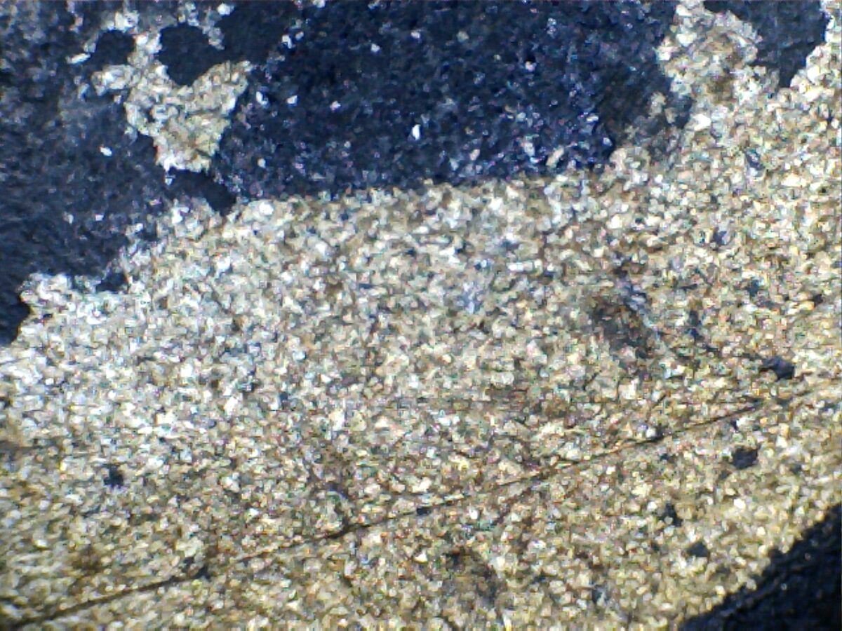 WWII German Single Decal M40 SS Combat Helmet – F.W. Quist Q66 – RJ ...